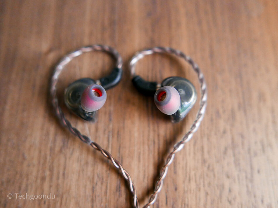 Goondu review: Fiio FD1 wired earphones offer good value - Techgoondu